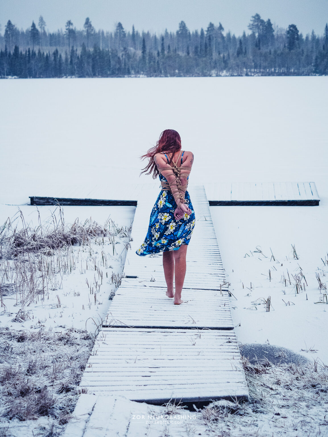 Galerías – MadridShibari